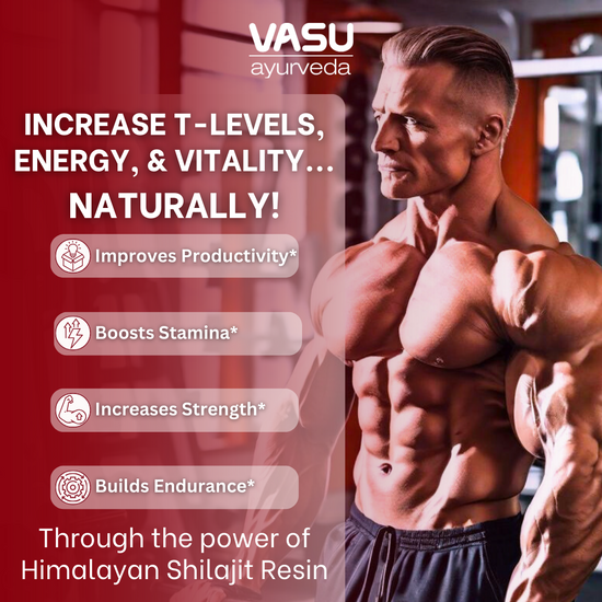 Vasu Ayurveda Himalayan Shilajit – Vasu Ayurveda Shilajit