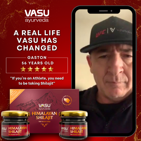 Vasu Ayurveda Pure Himalayan Shilajit – Vasu Ayurveda Shilajit