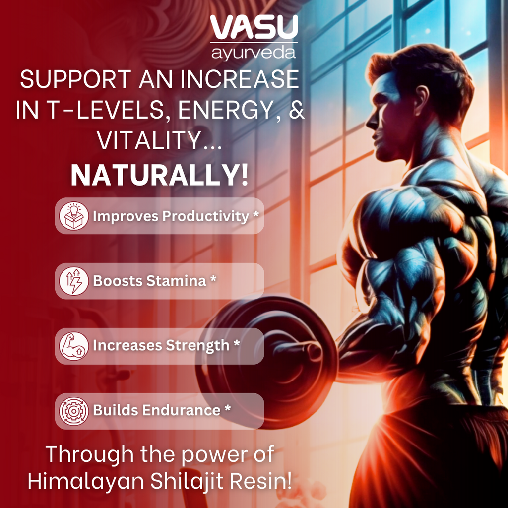 Vasu 6-In-1 Wellness Gummies – Vasu Ayurveda Shilajit