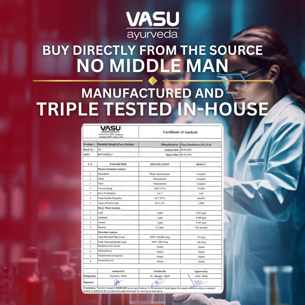 Vasu 6-In-1 Wellness Gummies – Vasu Ayurveda Shilajit